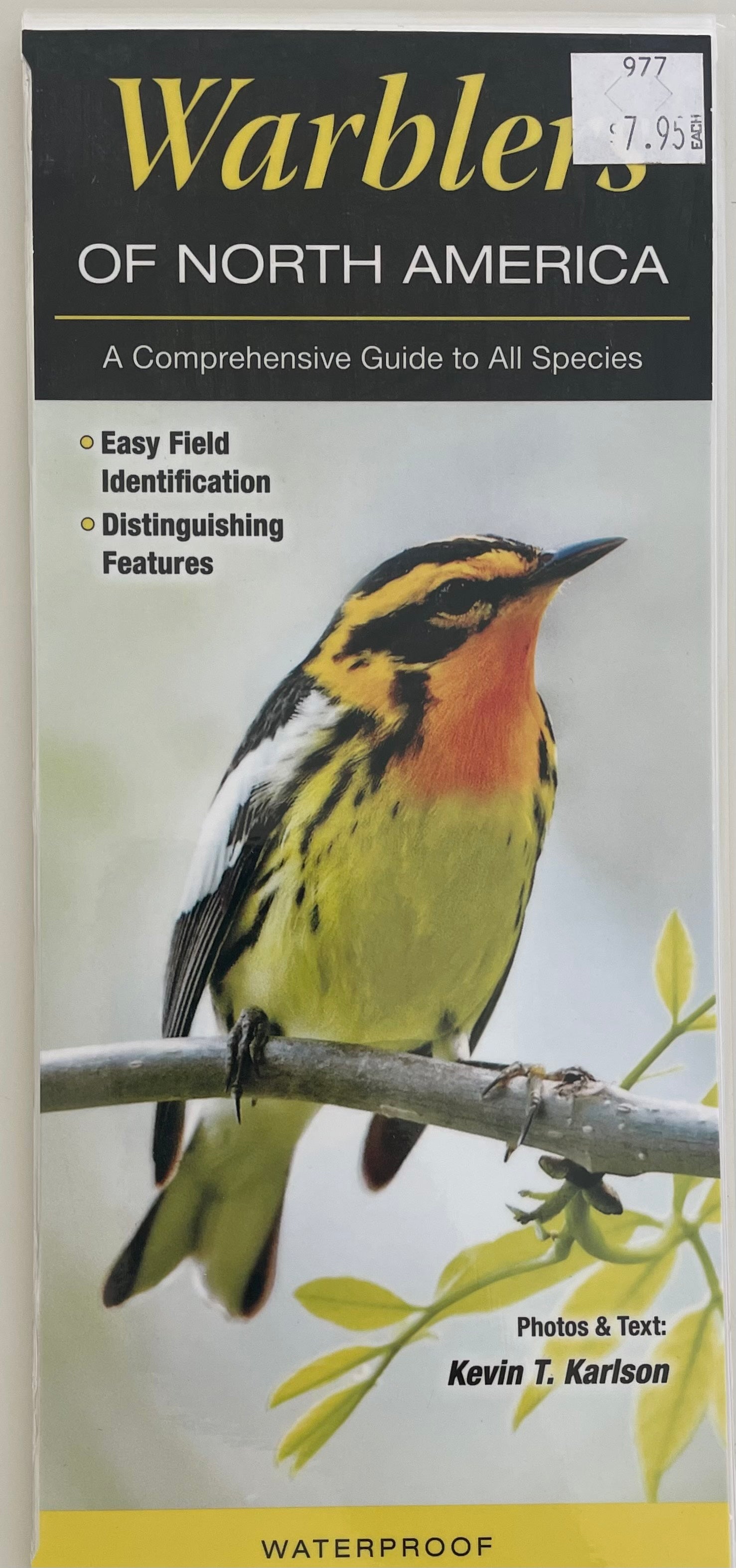 Warblers of North America – National Butterfly Center